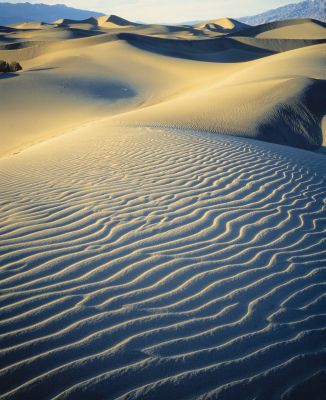 Rowerem przez piaski Sahary - Bankier.pl